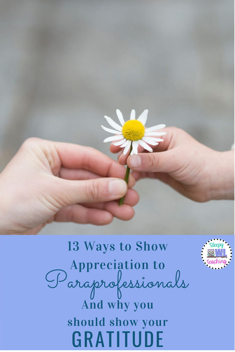 13 Ways to Show Appreciation to Paraprofessionals and Why You Should ...